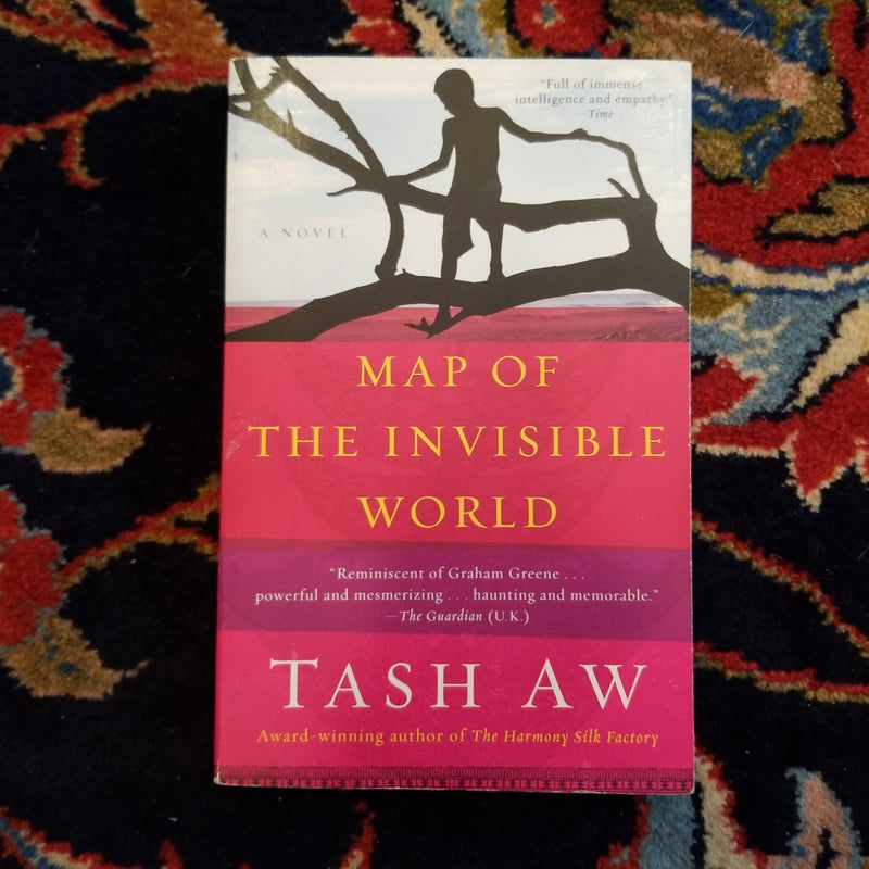 Map of the Invisible World by Tash Aw