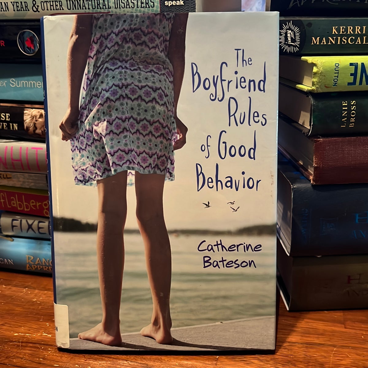 The Boyfriend Rules of Good Behavior by Catherine Bateson