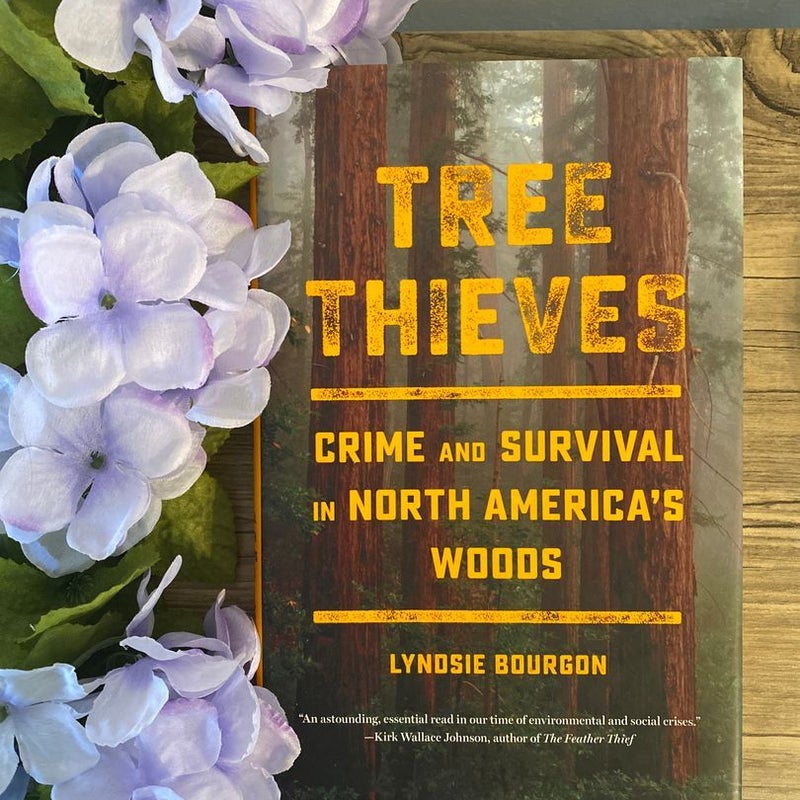 Tree Thieves by Lyndsie Bourgon