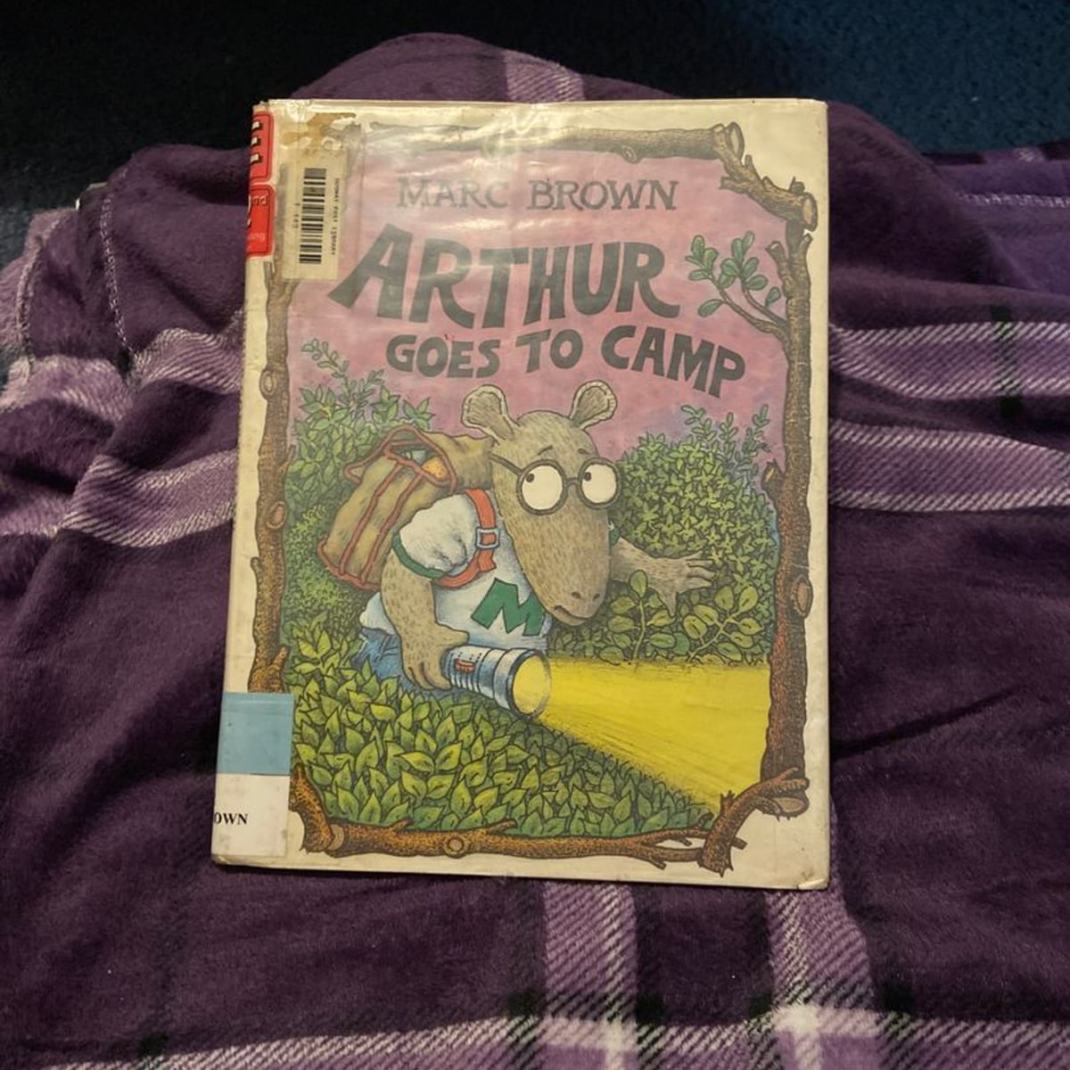 Arthur Goes to Camp by Marc Brown, Hardcover | Pangobooks