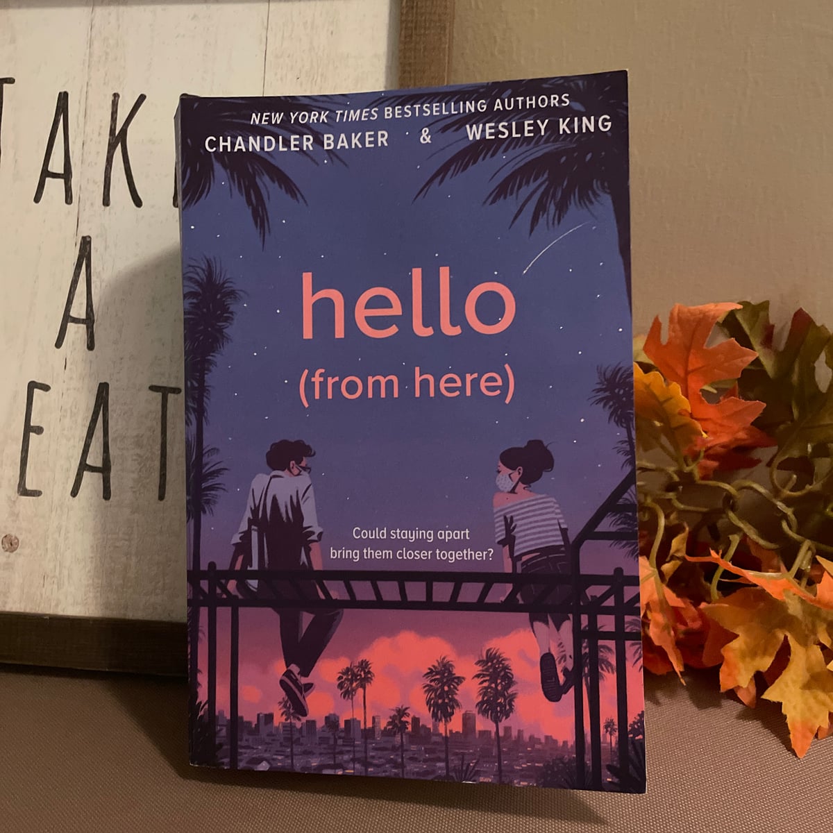 Hello (from Here) by Chandler Baker; Wesley King, Paperback | Pangobooks