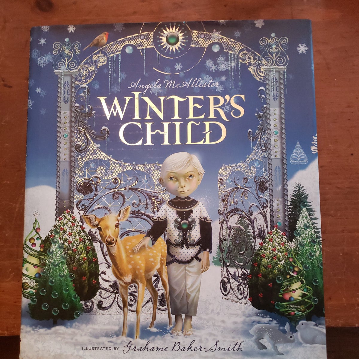 Winter's Child by Angela McAllister