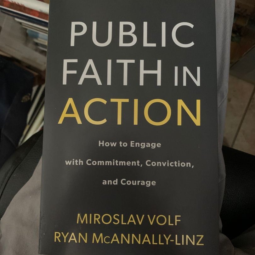 Public Faith in Action by Miroslav Volf, Ryan McAnnally-Linz