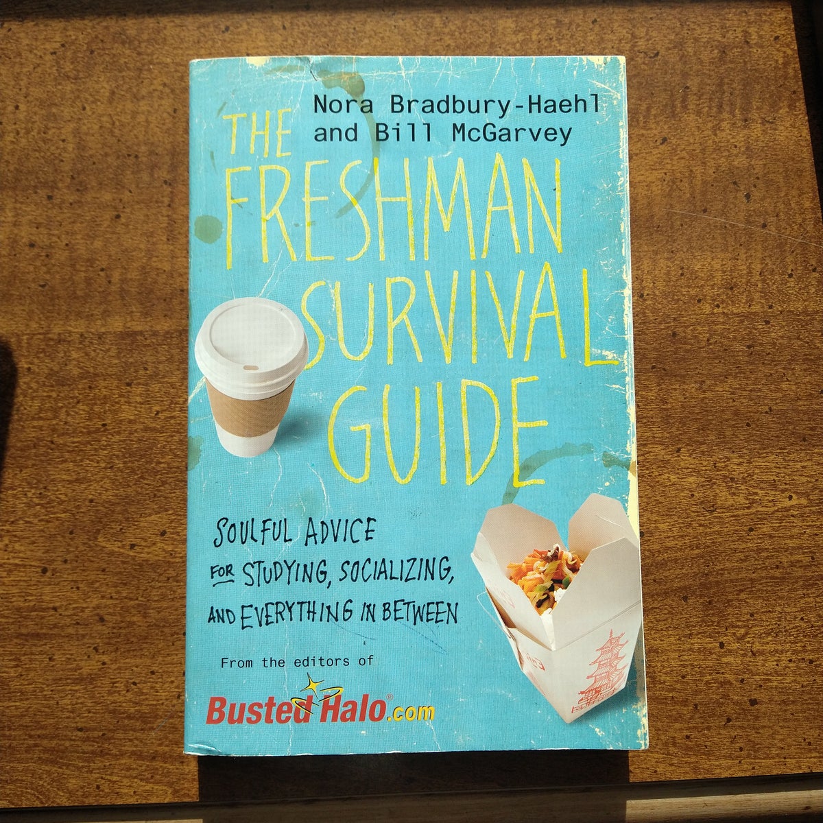 The Freshman Survival Guide by Nora Bradbury-Haehl, Paperback | Pangobooks