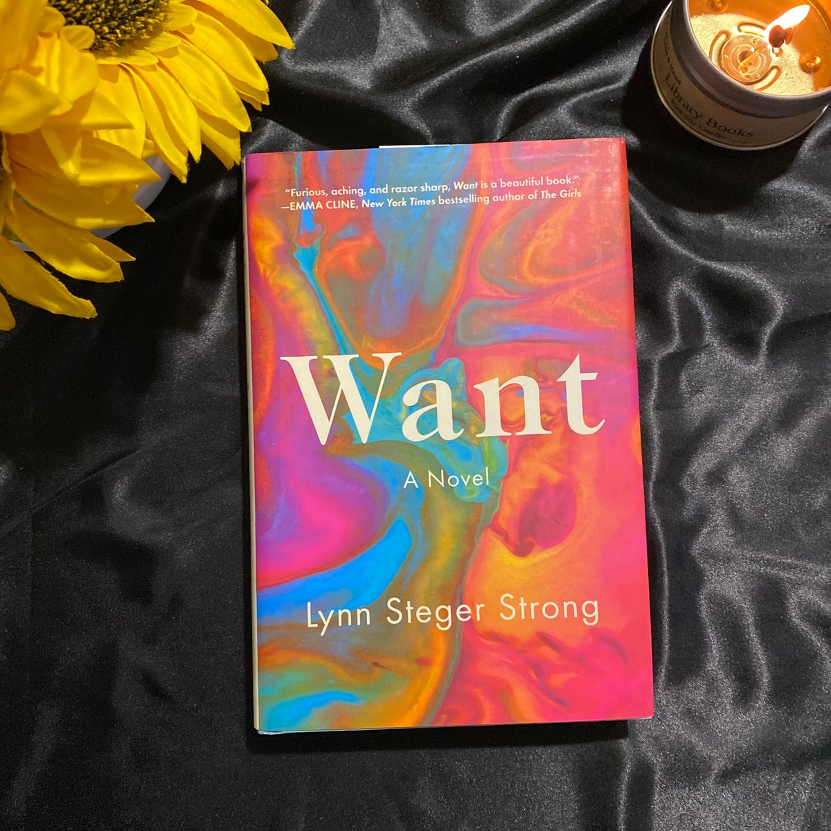 Want by Lynn Steger Strong, Hardcover | Pangobooks