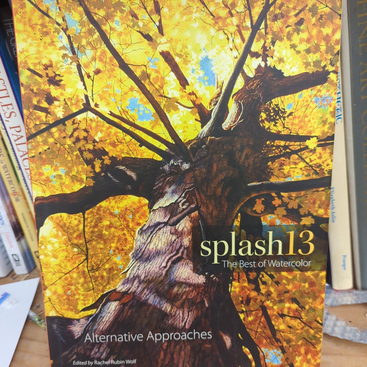 Splash 13, Alternative Approaches by Rachel Rubin Wolf | Pangobooks