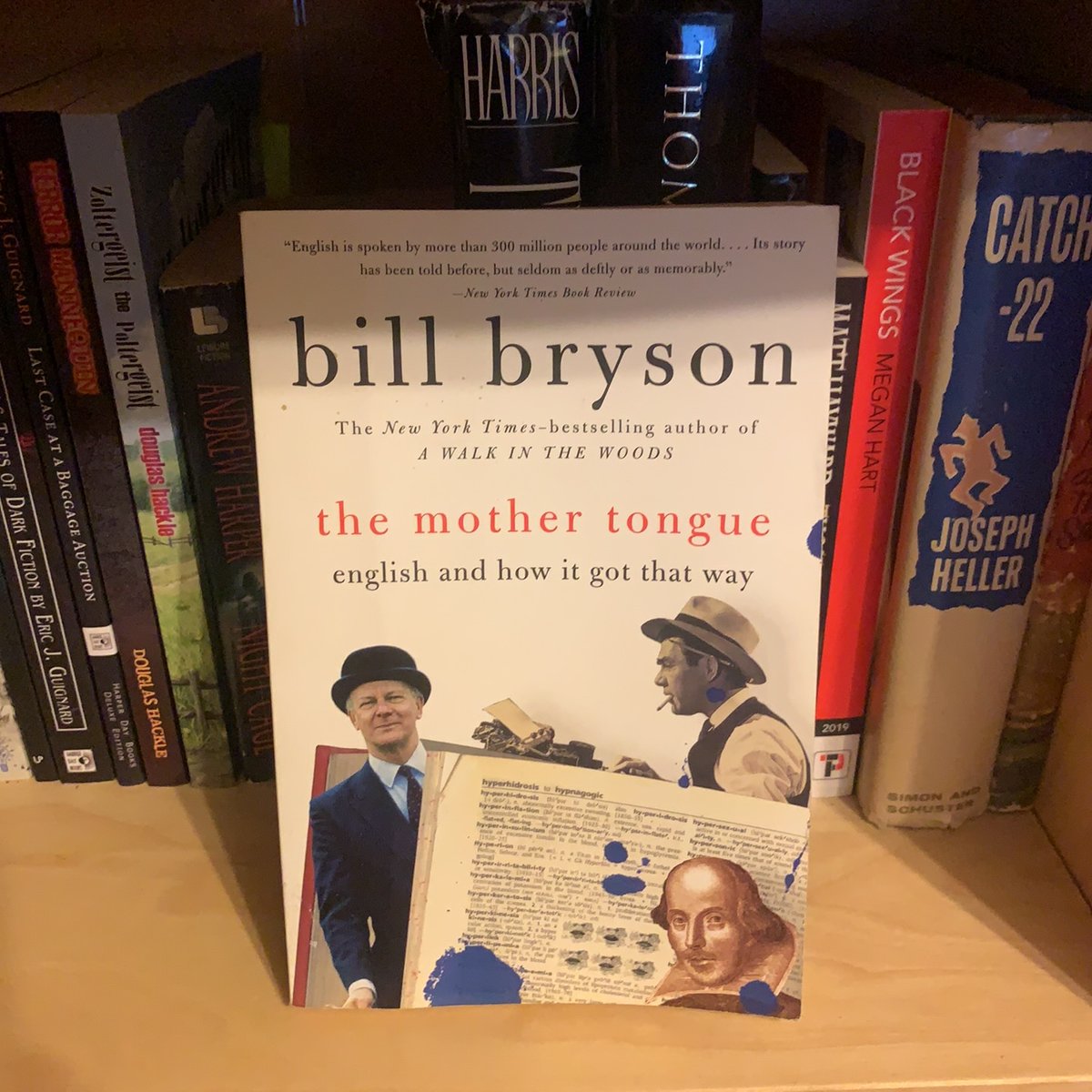 The Mother Tongue by Bill Bryson