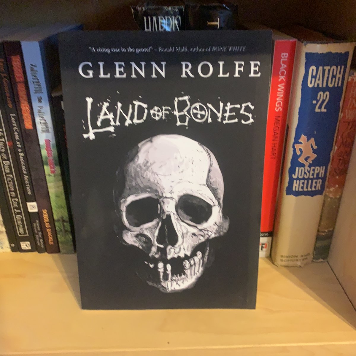 Land of Bones by Glenn Rolfe, Paperback | Pangobooks