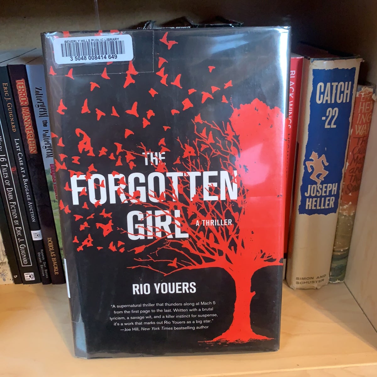 The Forgotten Girl by Rio Youers