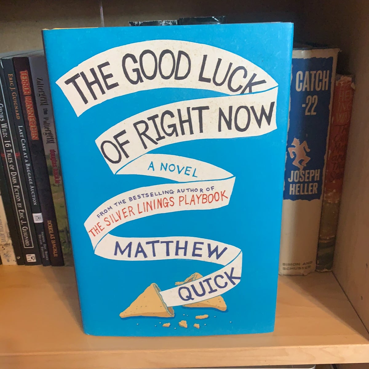 The Good Luck of Right Now by Matthew Quick