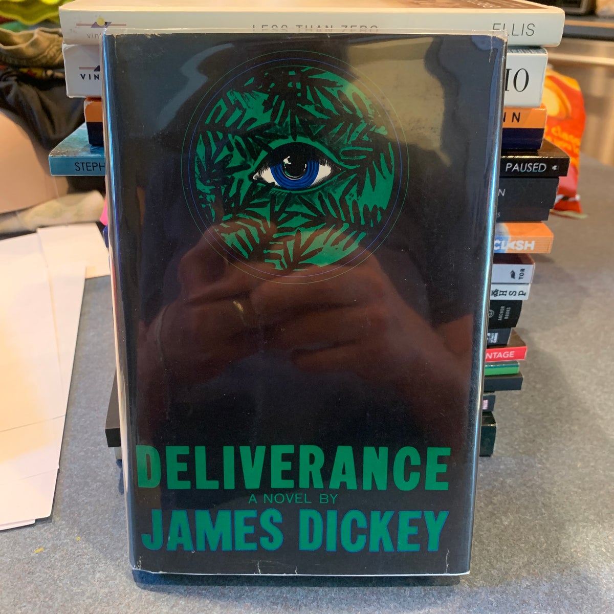 Deliverance by James Dickey, Hardcover | Pangobooks