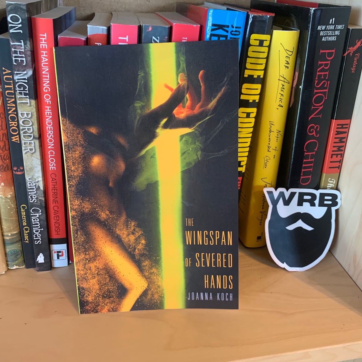The Wingspan of Severed Hands by Joe Koch