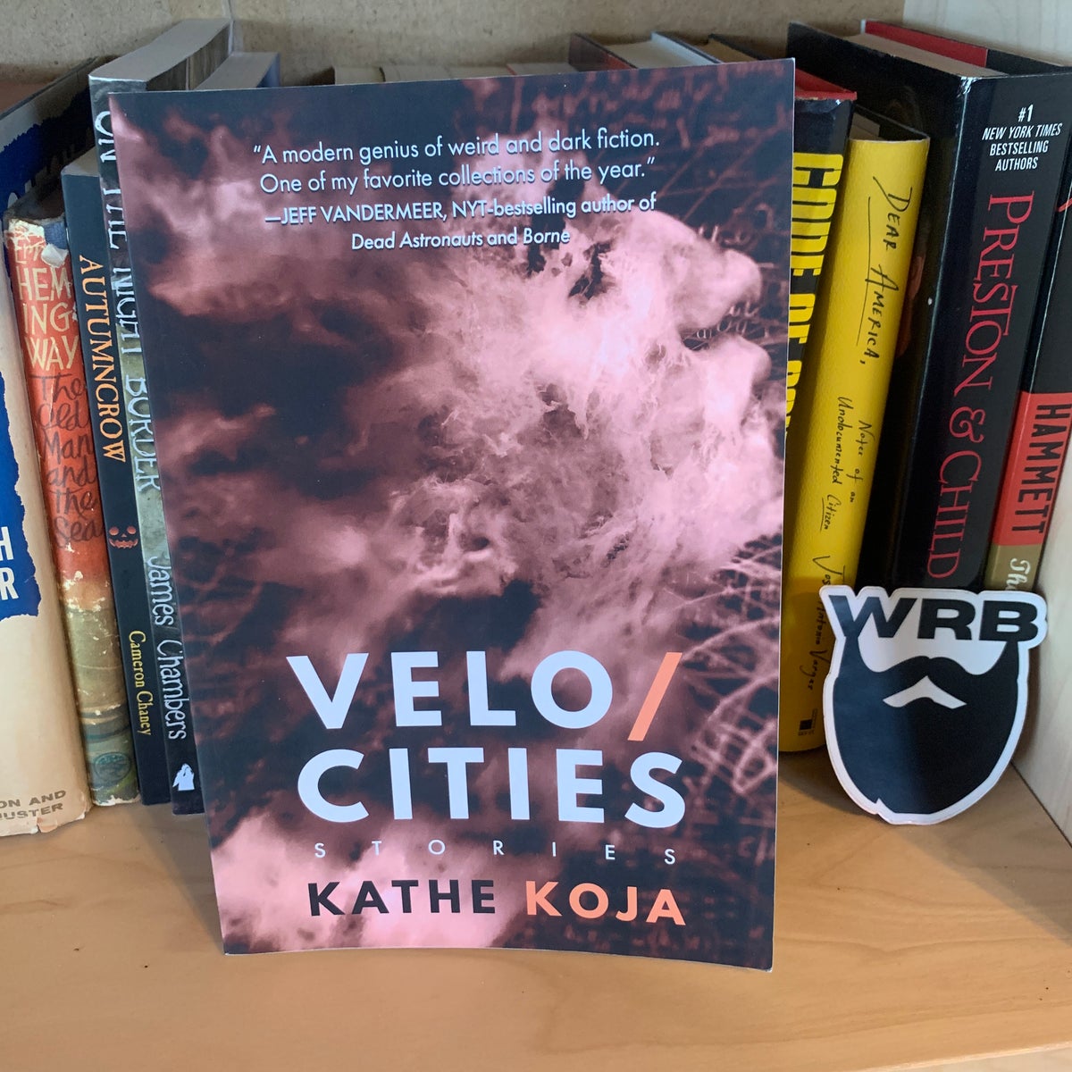 Velocities by Kathe Koja