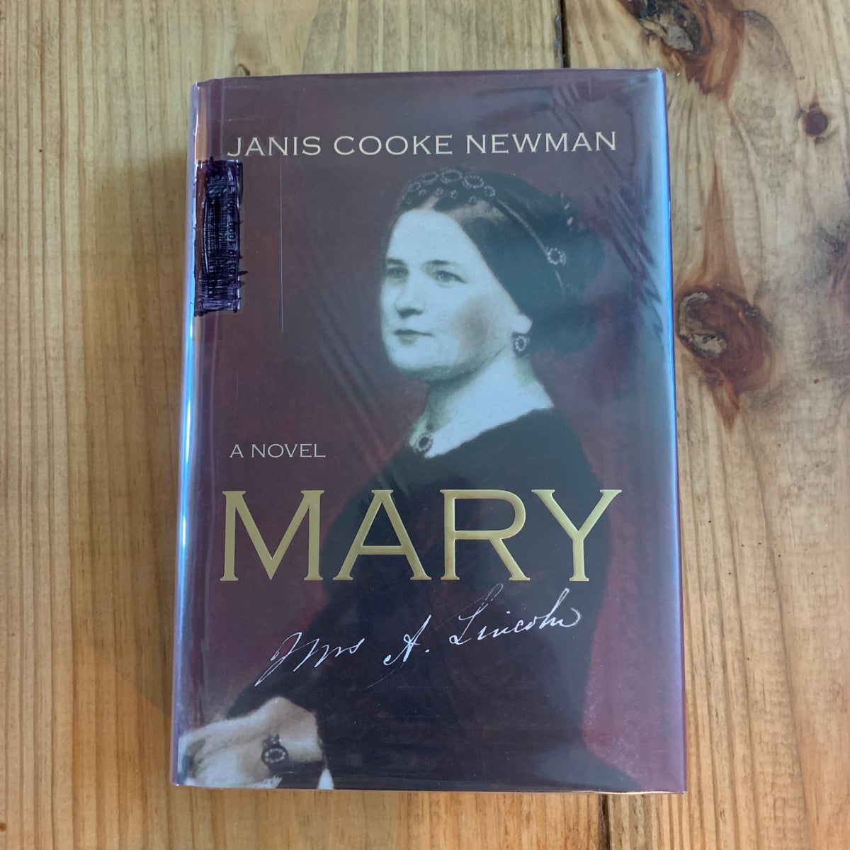 Mary by Janis Cooke Newman