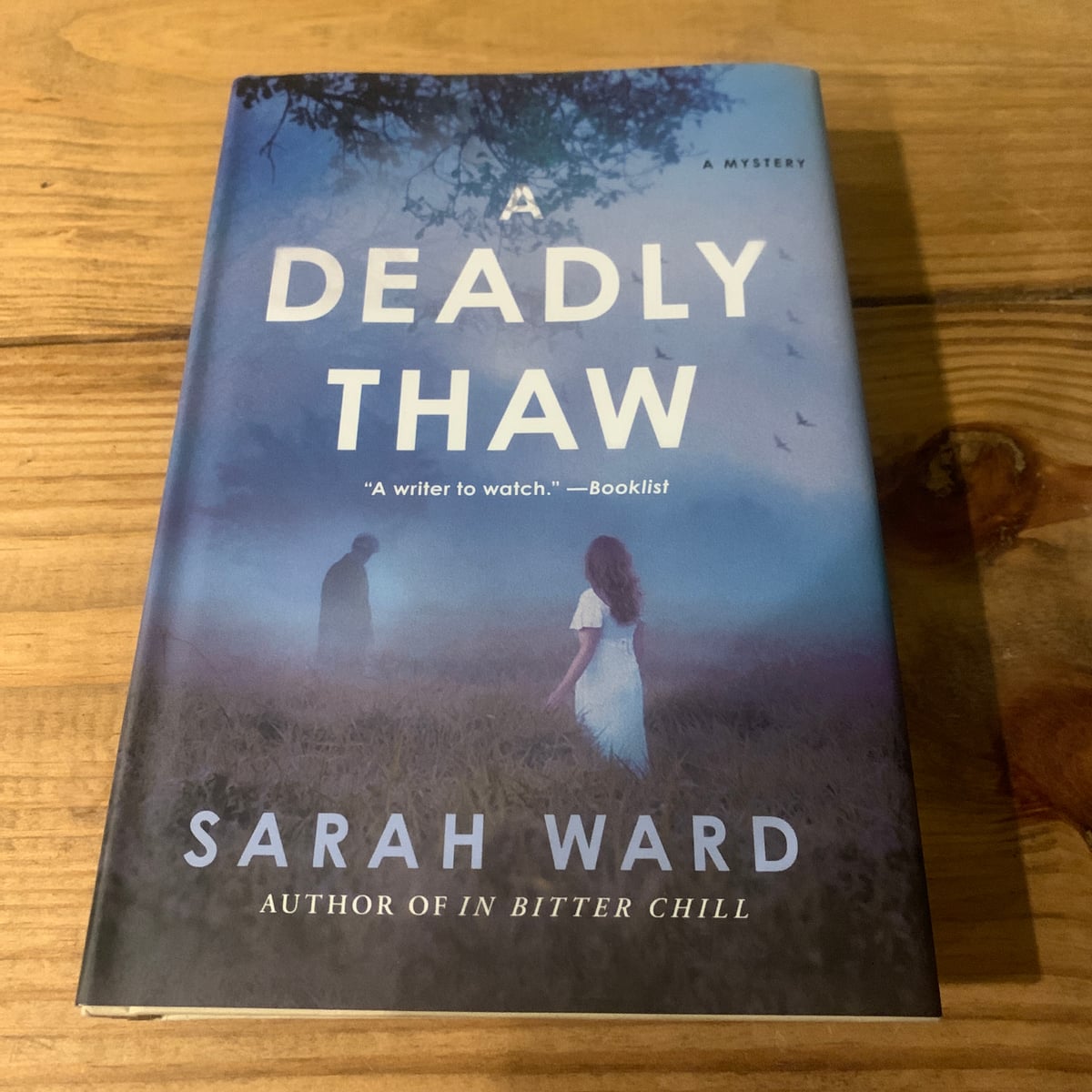 A Deadly Thaw by Sarah Ward