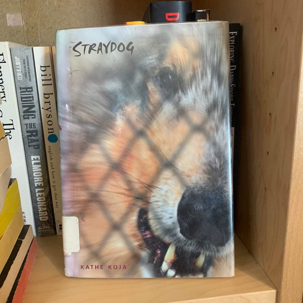 Straydog by Kathe Koja