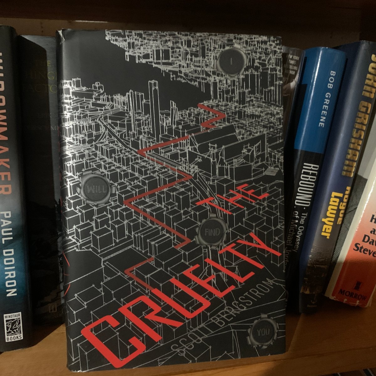 The Cruelty by Scott Bergstrom