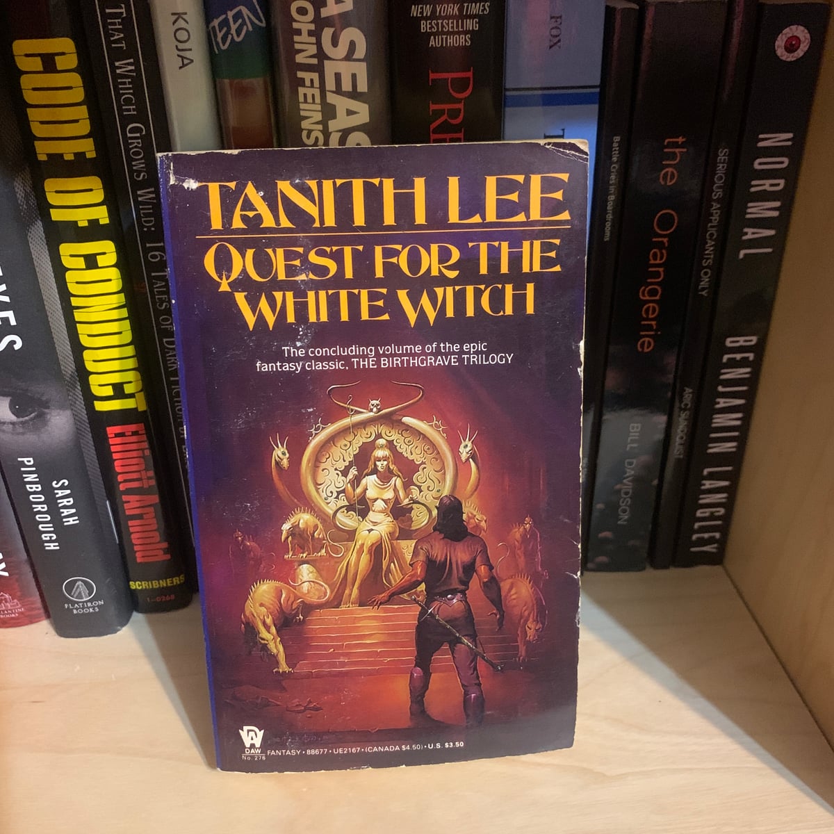 Quest for the White Witch by Tanith Lee