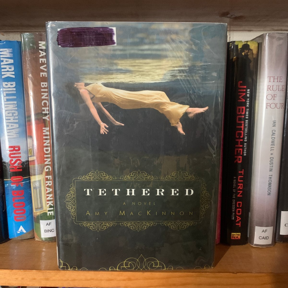 Tethered by Amy MacKinnon