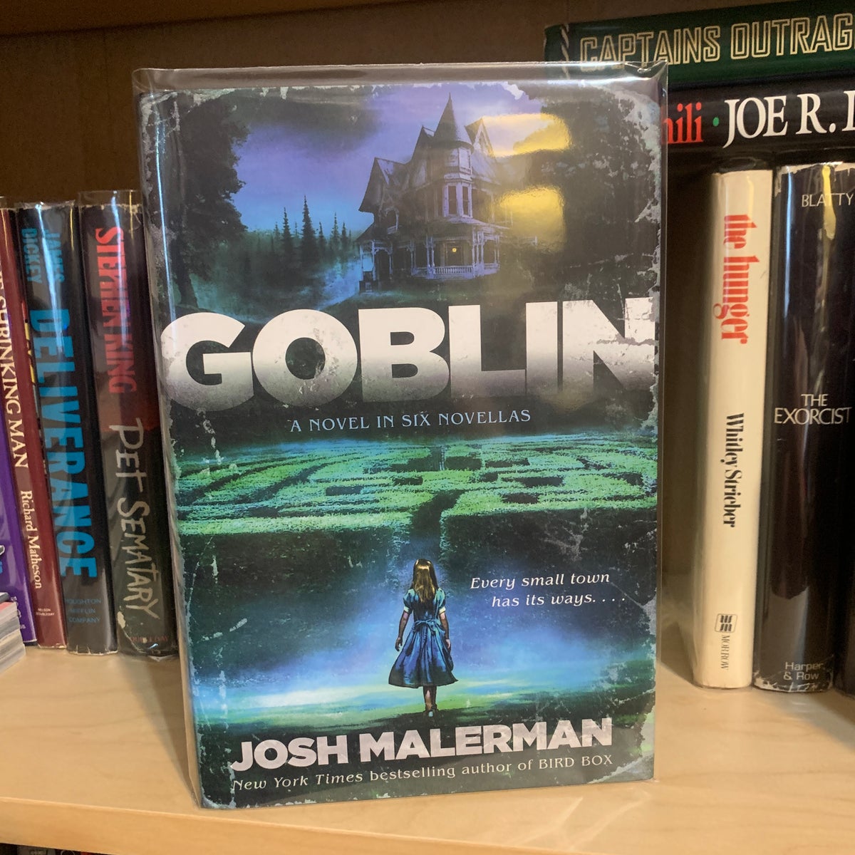 Goblin by Josh Malerman, Hardcover | Pangobooks