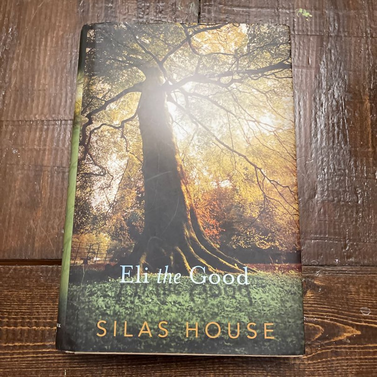 Eli the Good by Silas House