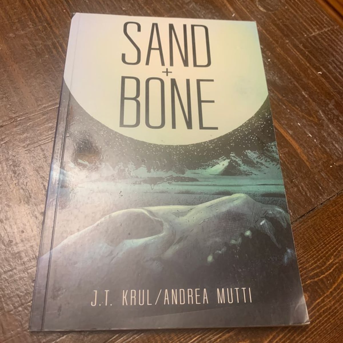 Sand and Bone by J. T. Krul
