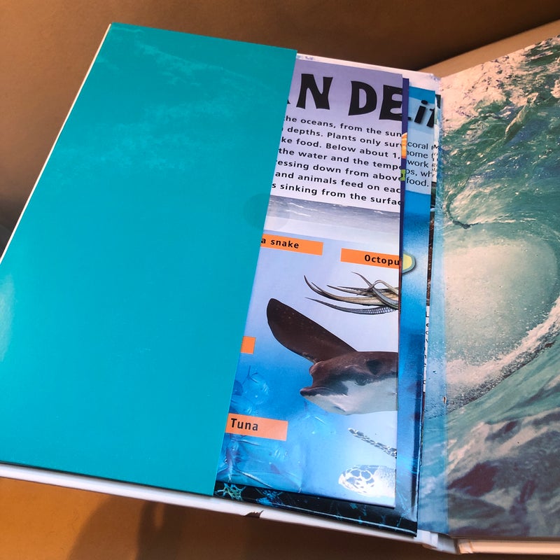 Ultimate Guide - Ocean