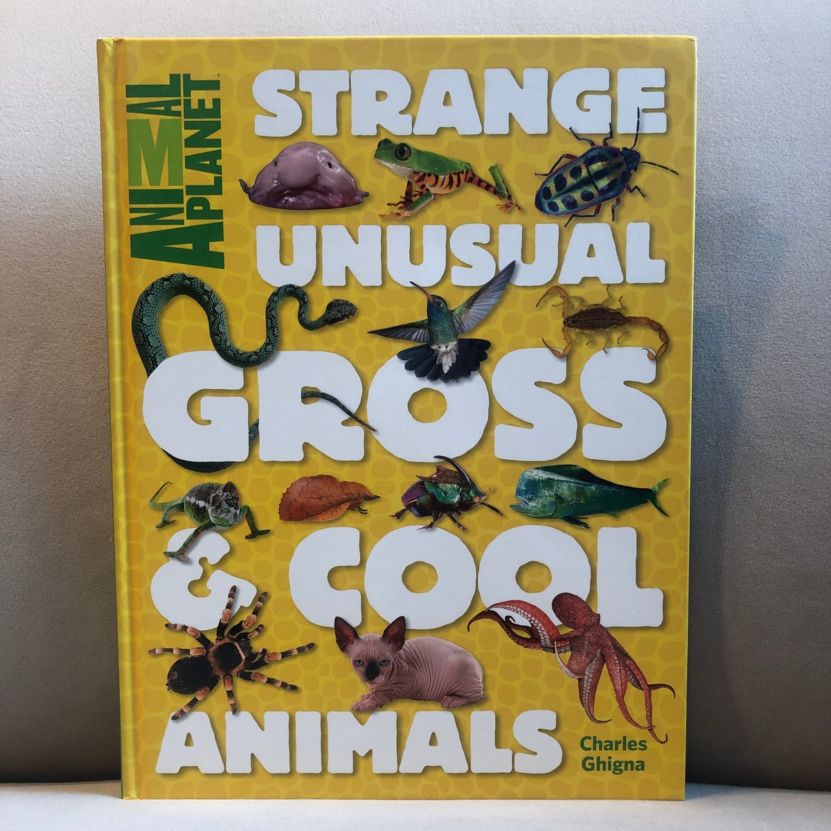 Strange, Unusual, Gross and Cool Animals by Animal Planet Staff
