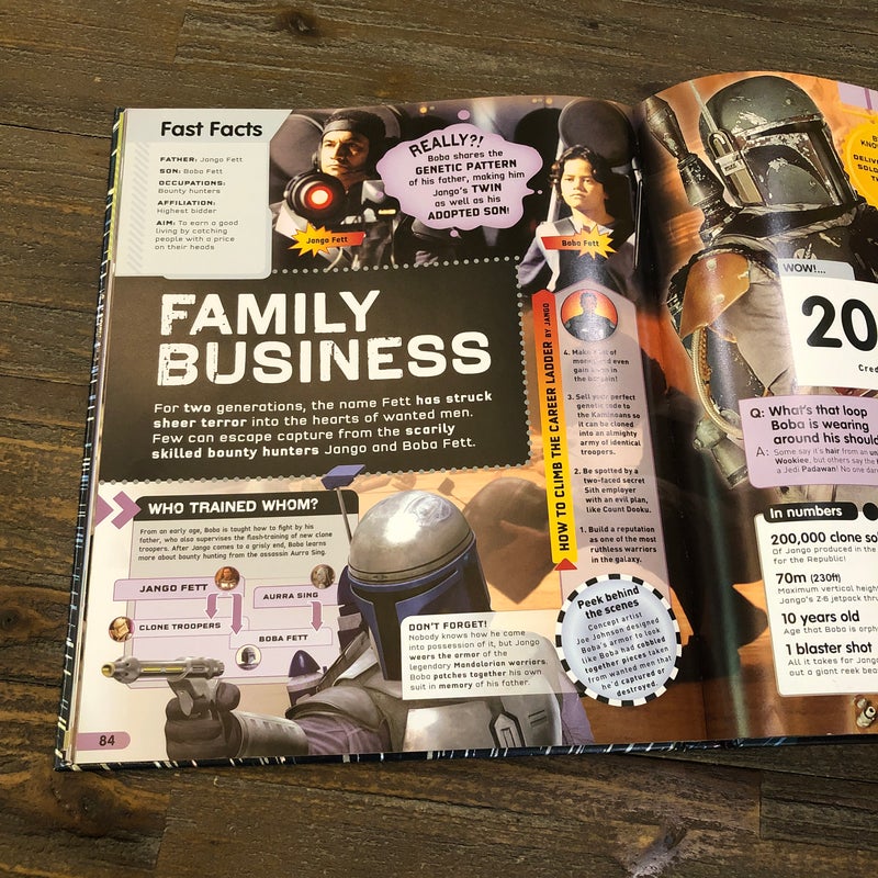 Absolutely Everything You Need to Know