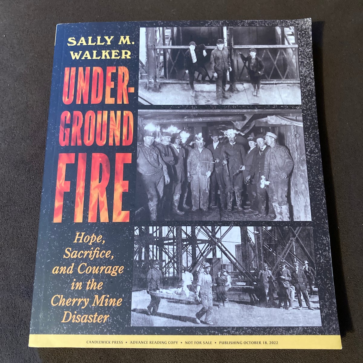 Underground Fire: Hope, Sacrifice, and Courage in the Cherry Mine ...