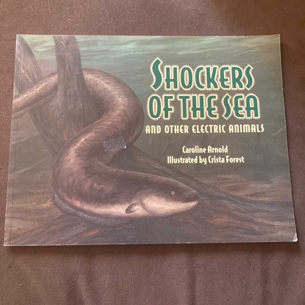 Shockers of the Sea