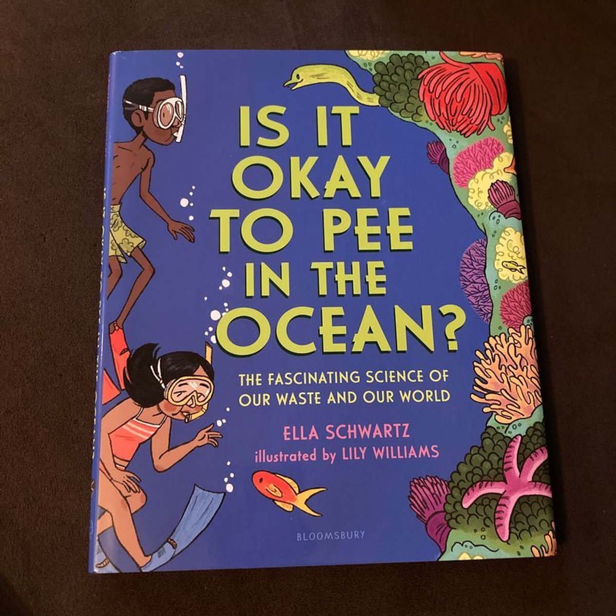 Is It Okay to Pee in the Ocean? by Ella Schwartz
