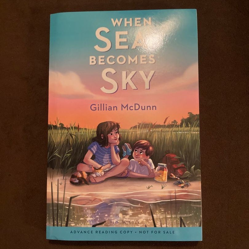 When Sea Becomes Sky by Gillian McDunn