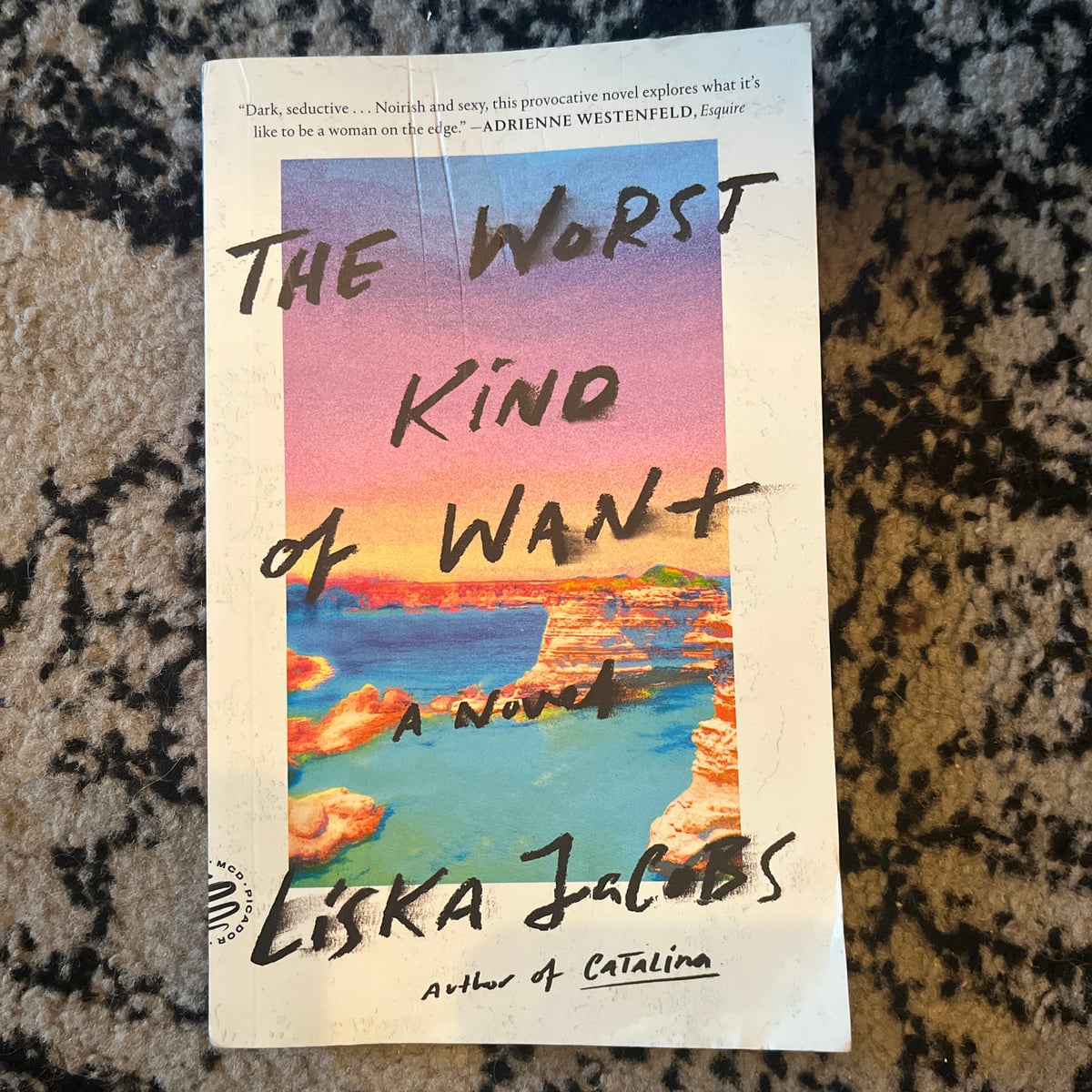 The Worst Kind of Want by Liska Jacobs