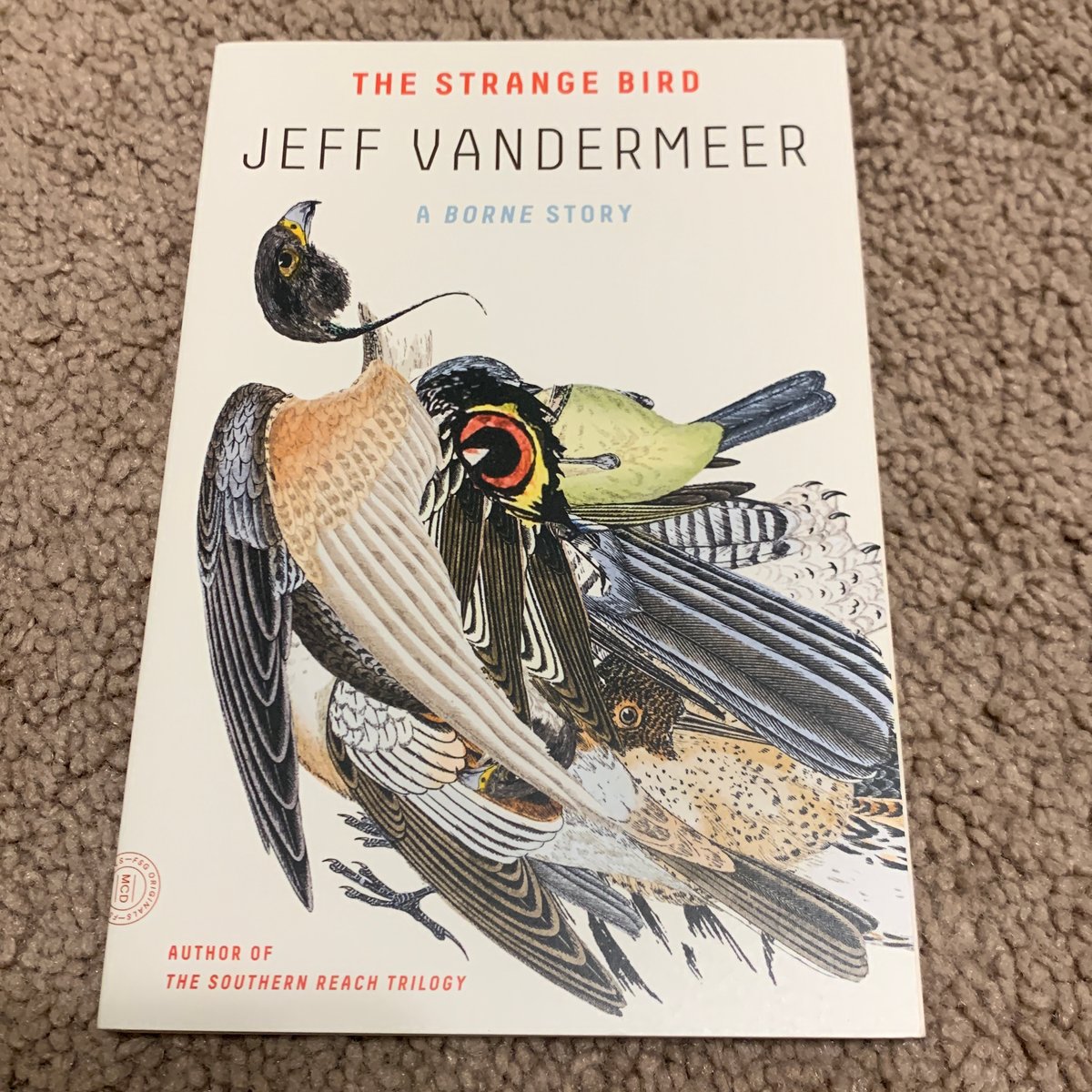 The Strange Bird by Jeff VanderMeer