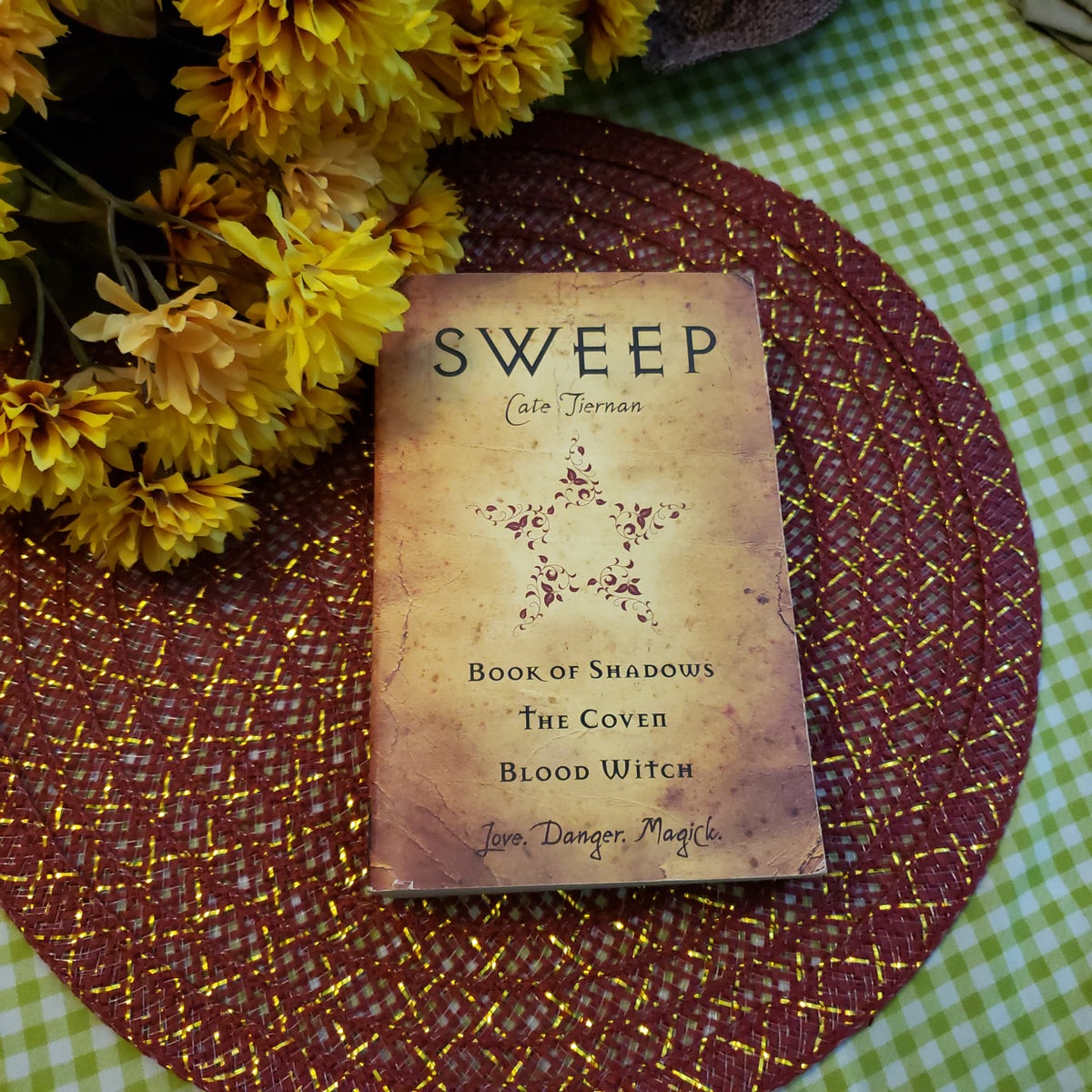 Sweep by Cate Tiernan, Paperback | Pangobooks