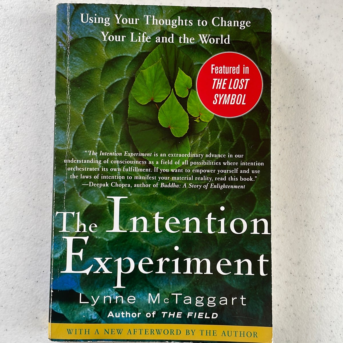 The Intention Experiment