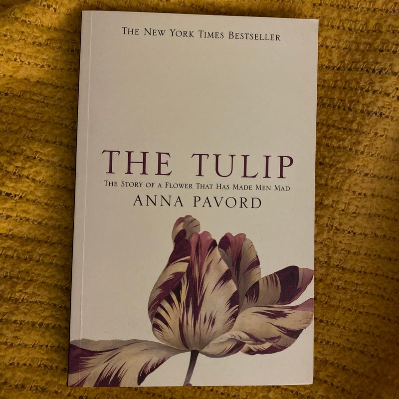 The Tulip