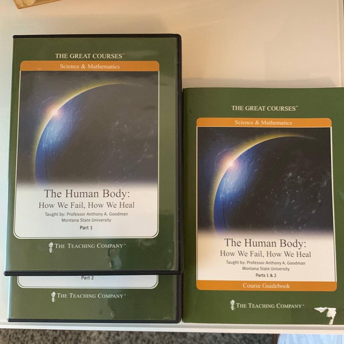 The Human Body by Anthony A. Goodman