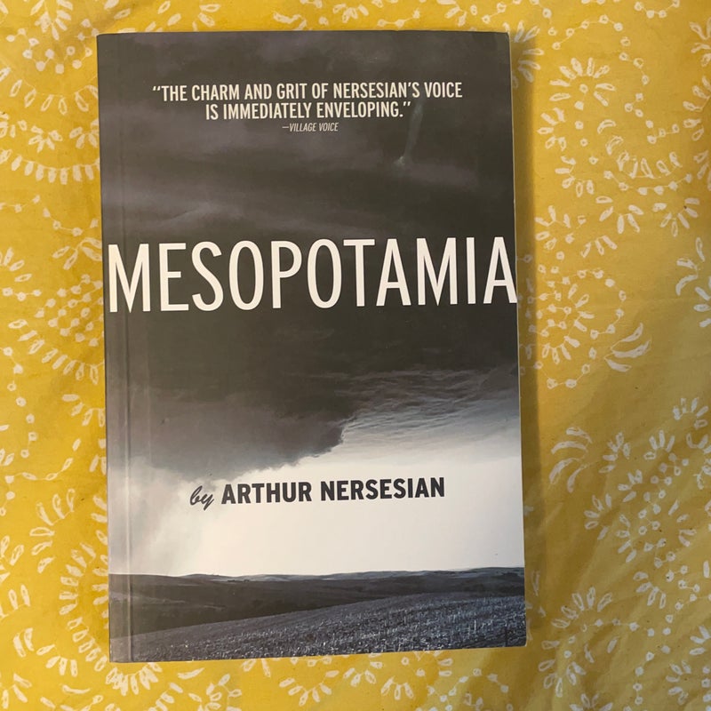 Mesopotamia by Arthur Nersesian