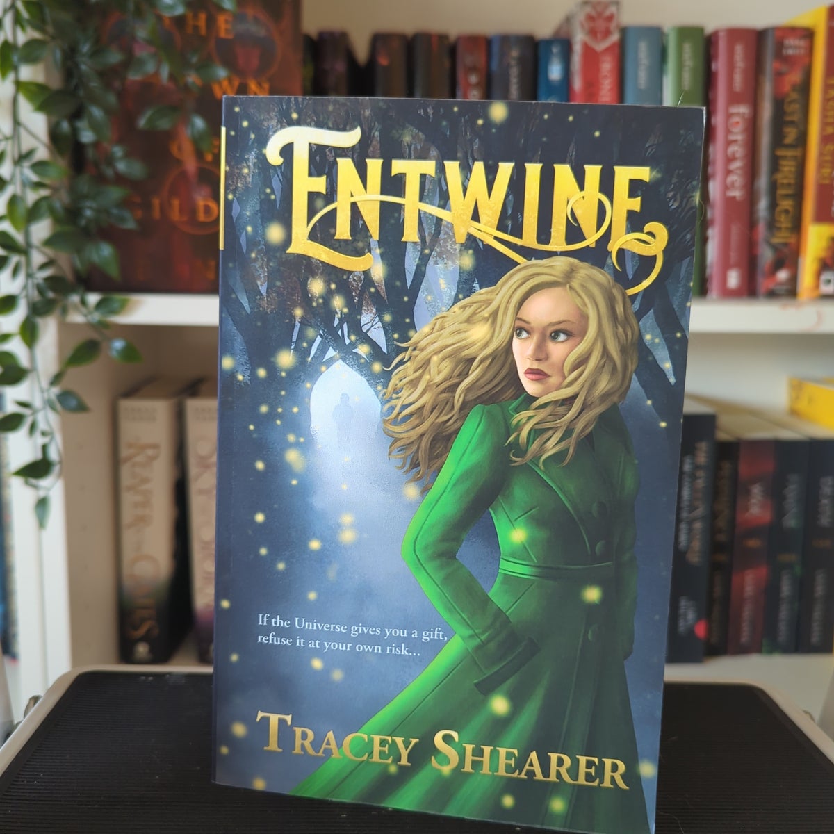 Entwine by Tracey Shearer