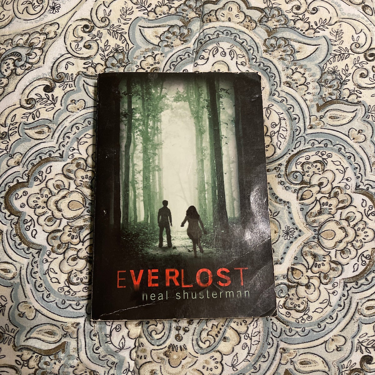 Everlost by Neal Shusterman, Paperback | Pangobooks
