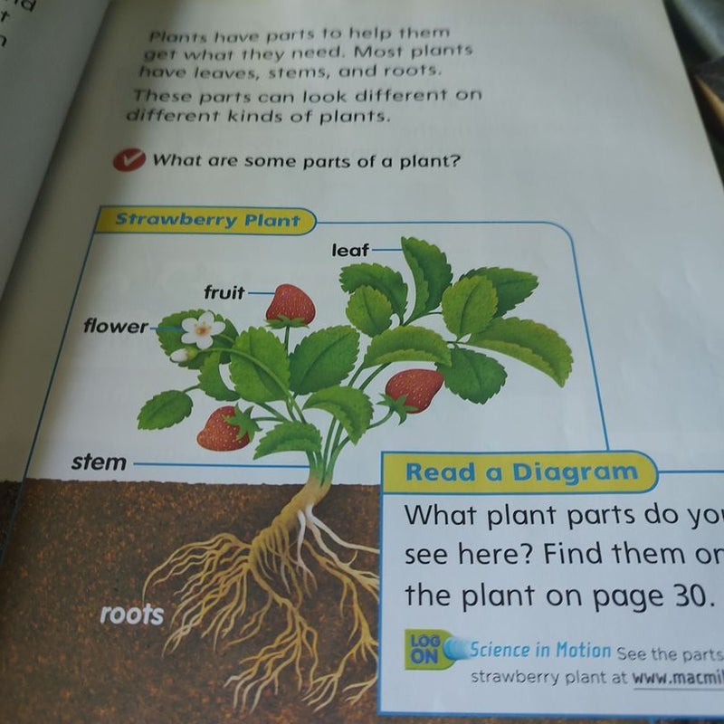 Science, a Closer Look, Grade 1, Student Edition by McGraw Hill ...