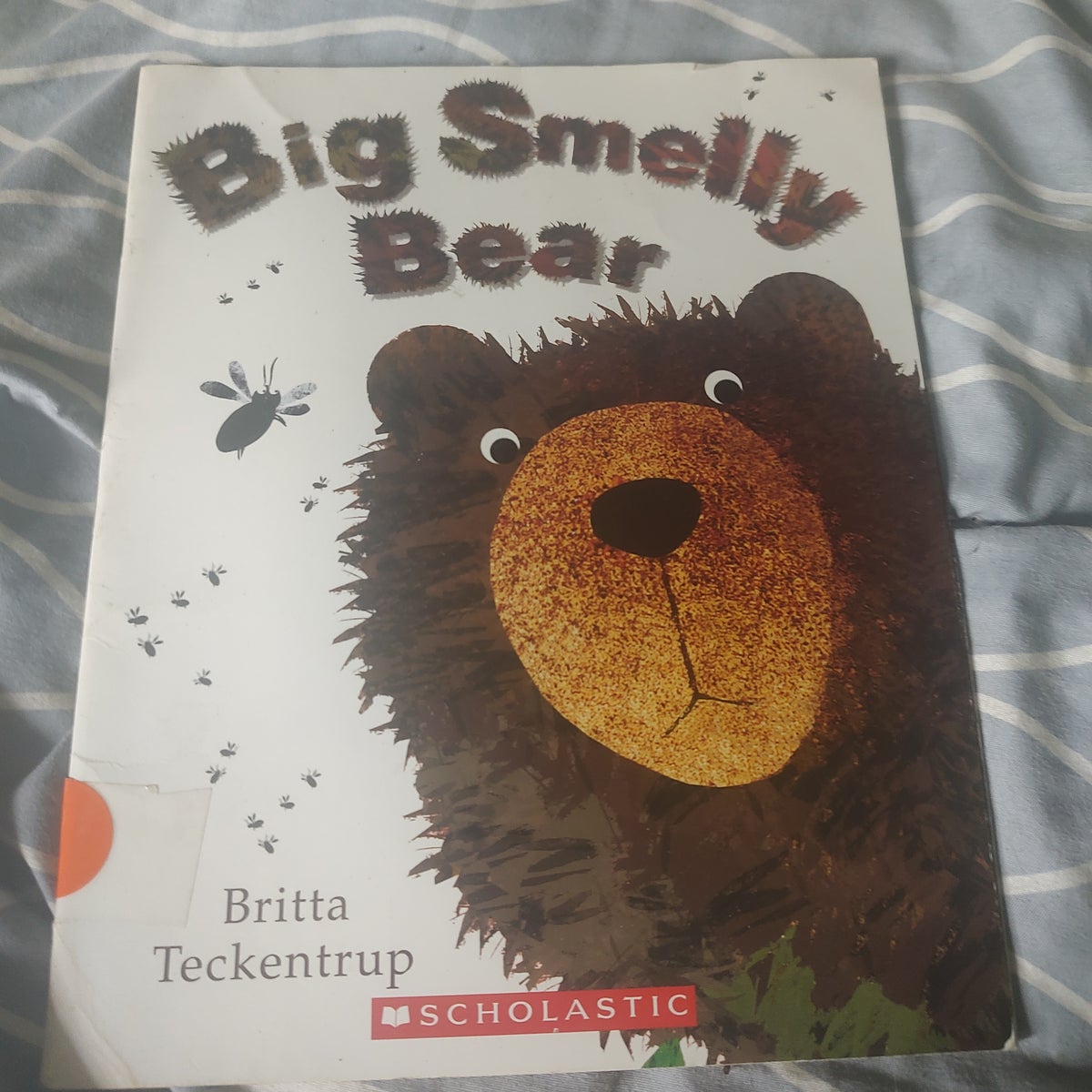 Big smelly bear