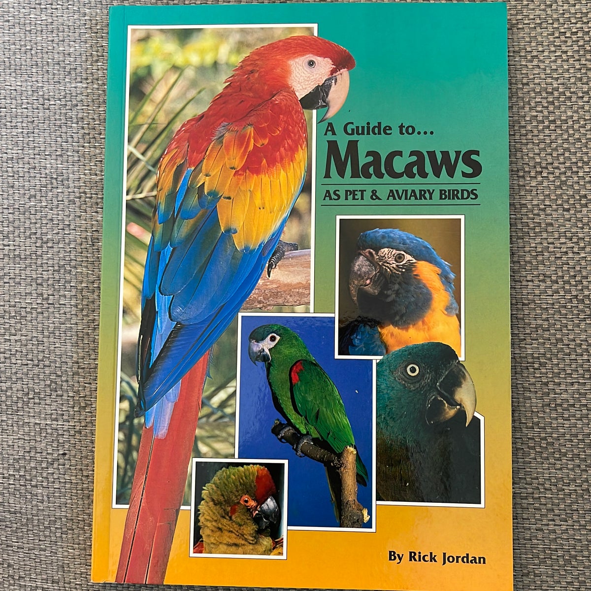 Macaws As Pet and Aviary by Rick Jordan, Paperback | Pangobooks