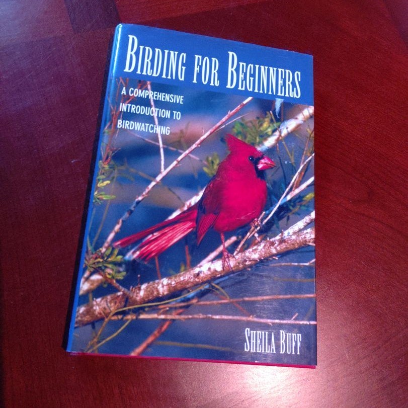 Birding for Beginners by Sheila Buff