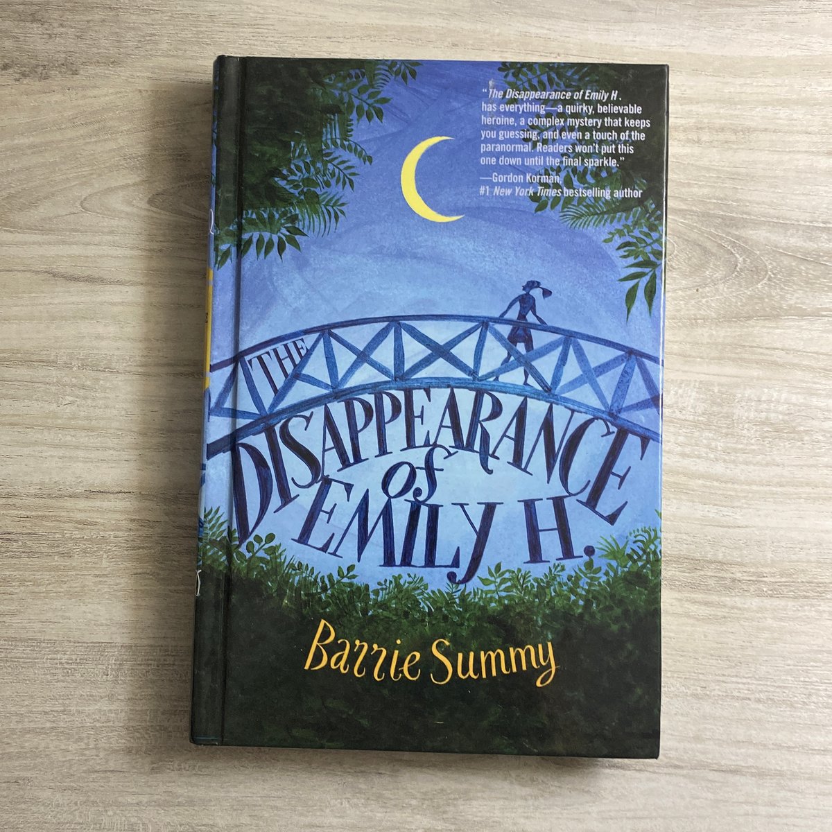 The Disappearance of Emily H. by Barrie Summy
