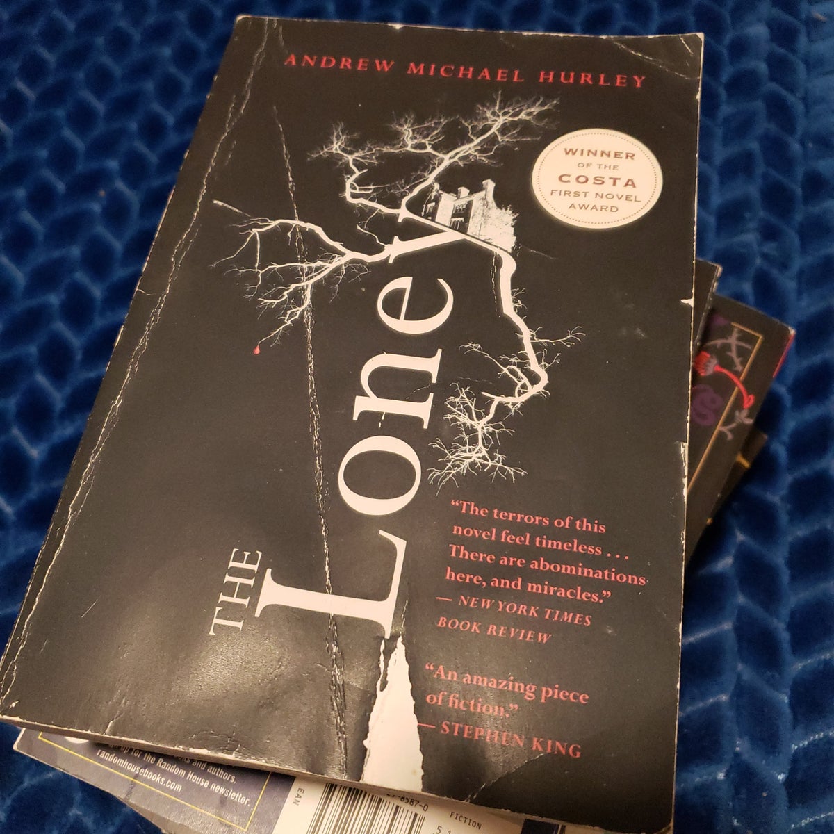 Loney by Andrew Michael Hurley, Paperback | Pangobooks