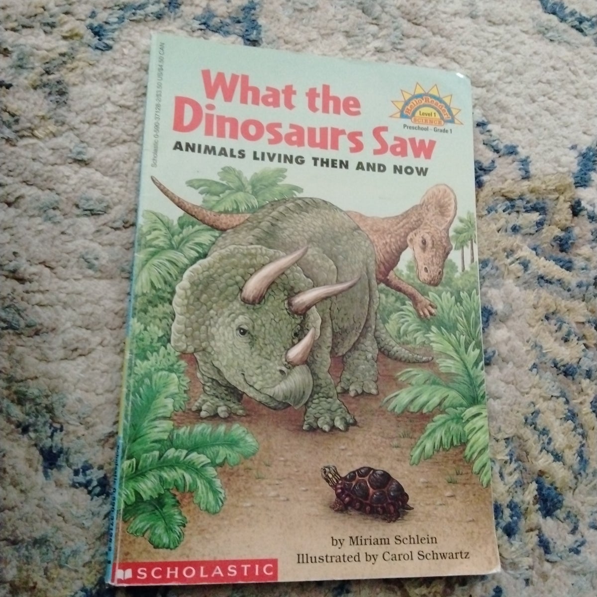 What the Dinosaurs Saw by Miriam Schlein
