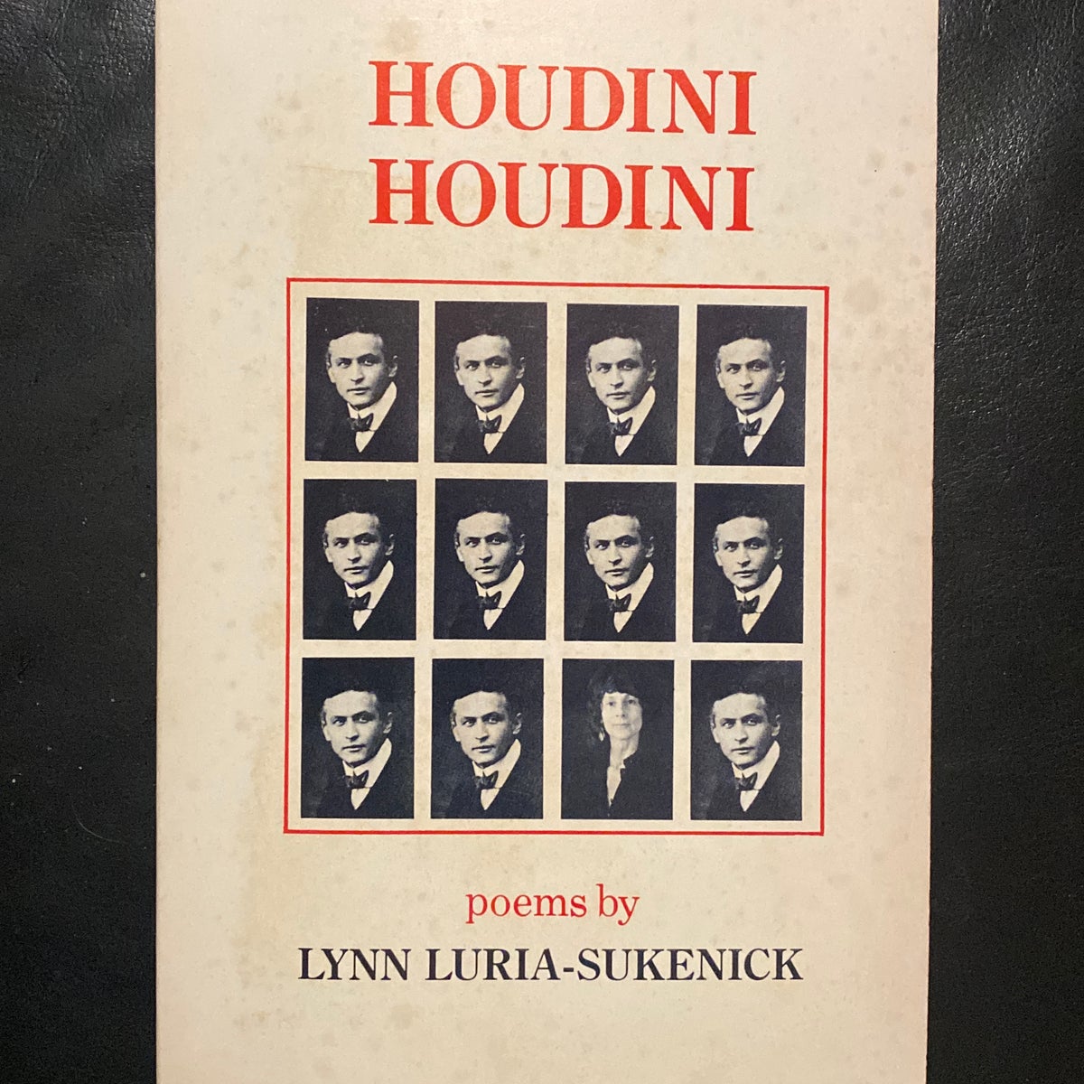 Houdini Houdini by Lynn Luria-Sukenick